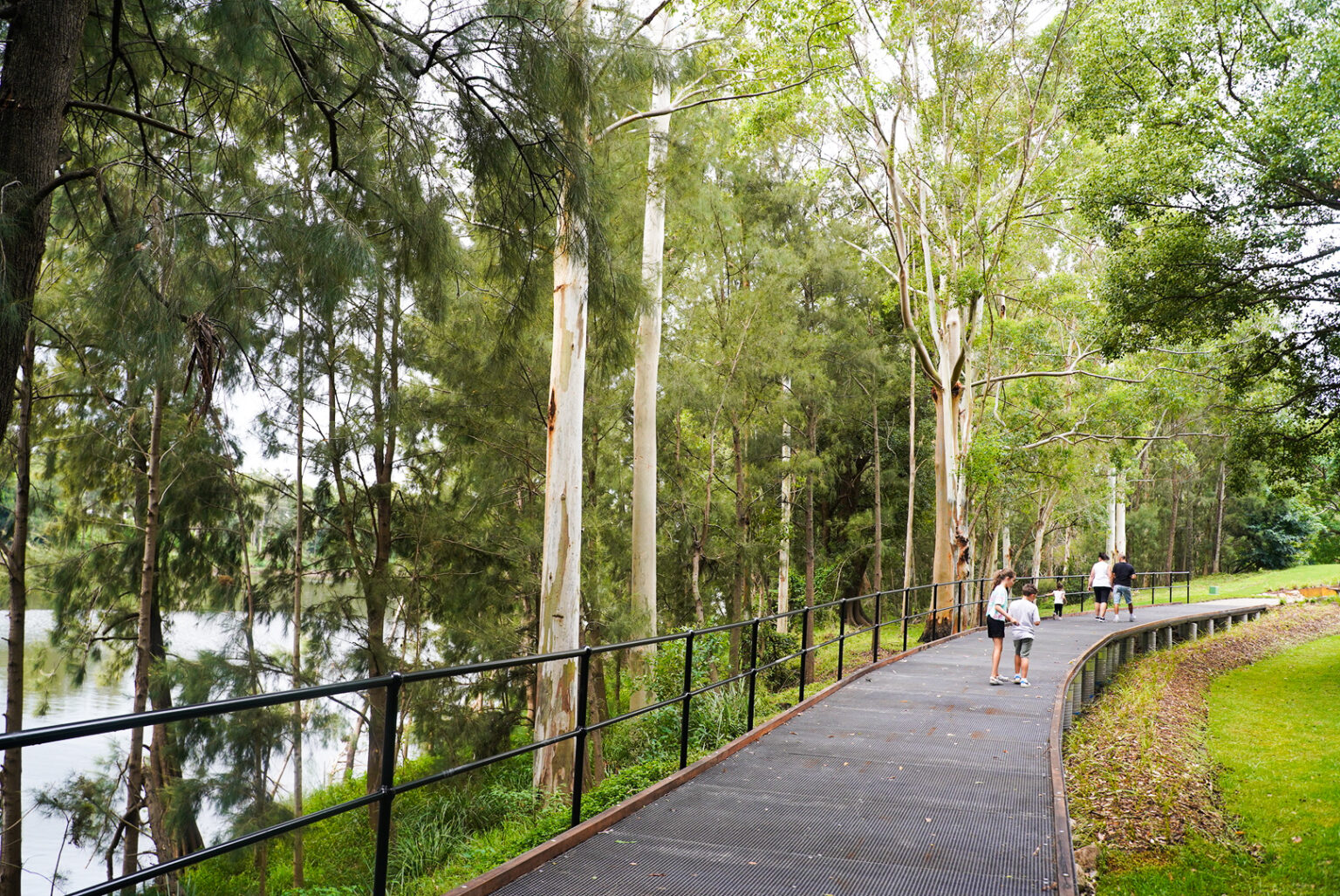 Tench Reserve - Jamisontown