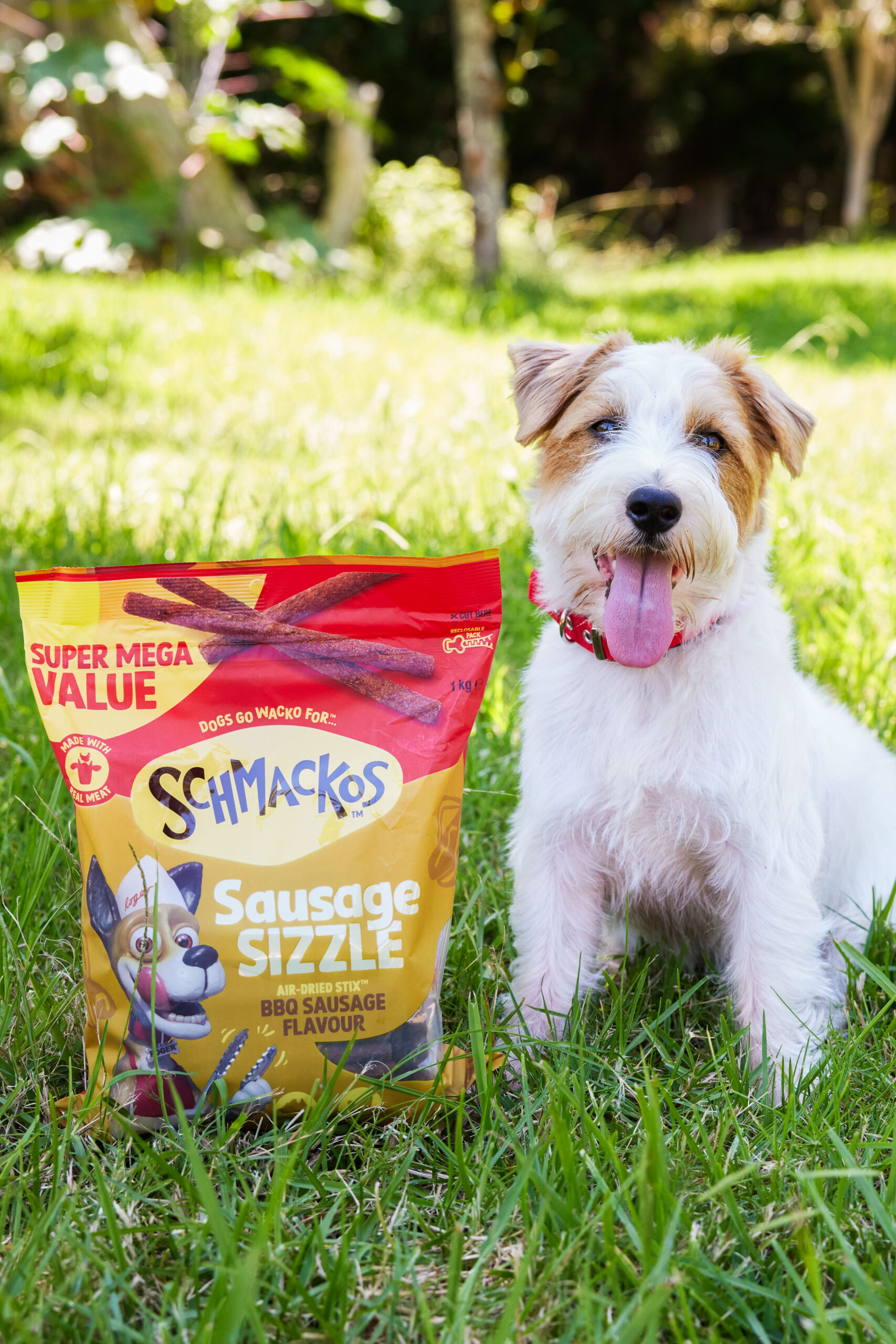 SCHMACKOS x Bunnings - Easter Long Weekend Activation - Western Sydney Mums